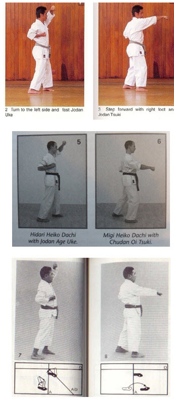 Goju Ryu Karate Stances